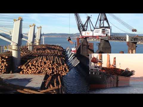 Log Ship Storm Damaged Rogue wave Rough seas Sea port Dangerous damaged ...