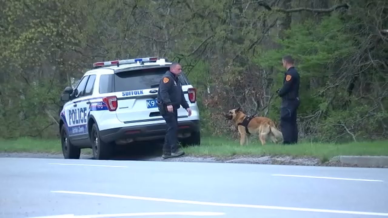 Long Island police continue search for remains in Gilgo Beach murders ...