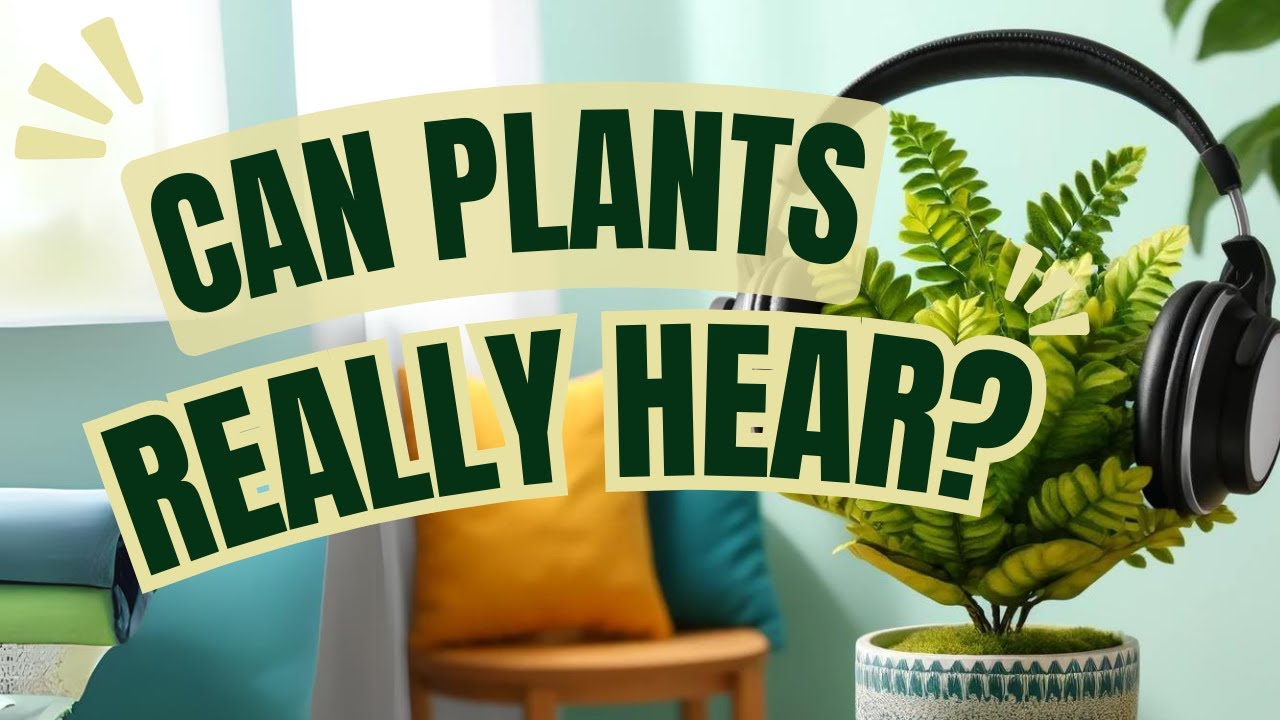 Do Plants Grow to Music? Discovering the Surprising Effects of Sound on ...