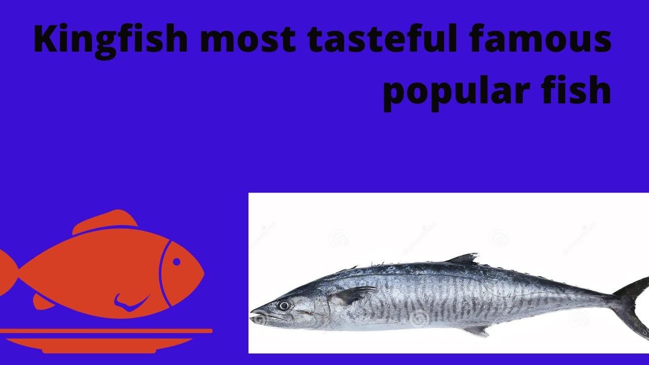 Kingfish most tasteful famous popular fish | Masala Fish Fry #seafood # ...