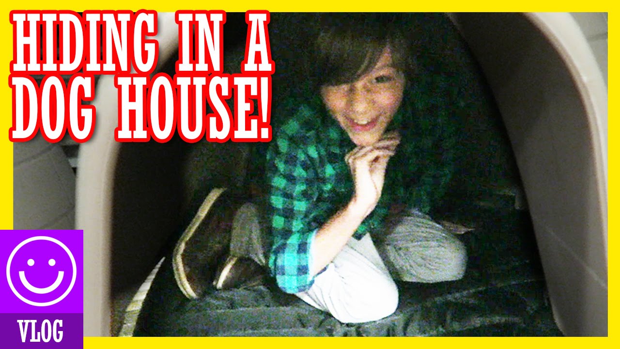 KID STUCK IN DOG HOUSE!! | KITTIESMAMA 180 - YouTube