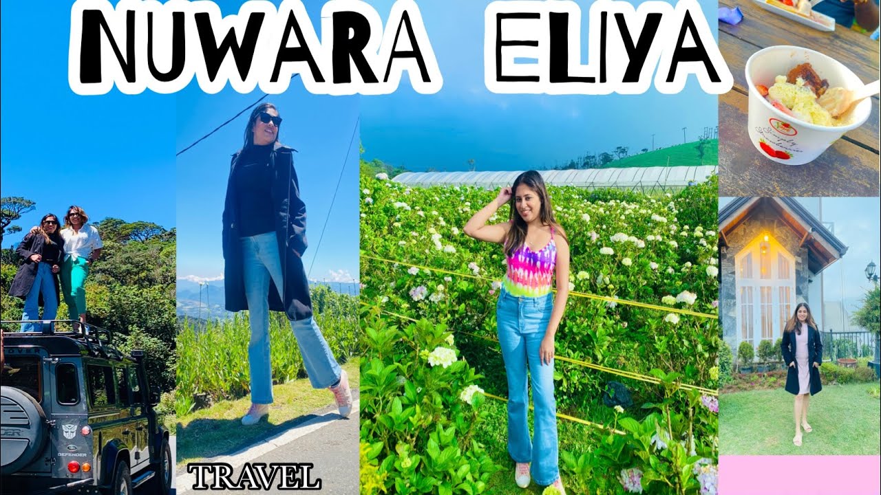 Travel vlog | Jagro Farm Ambewela | Top of Piduruthalagala Highest ...