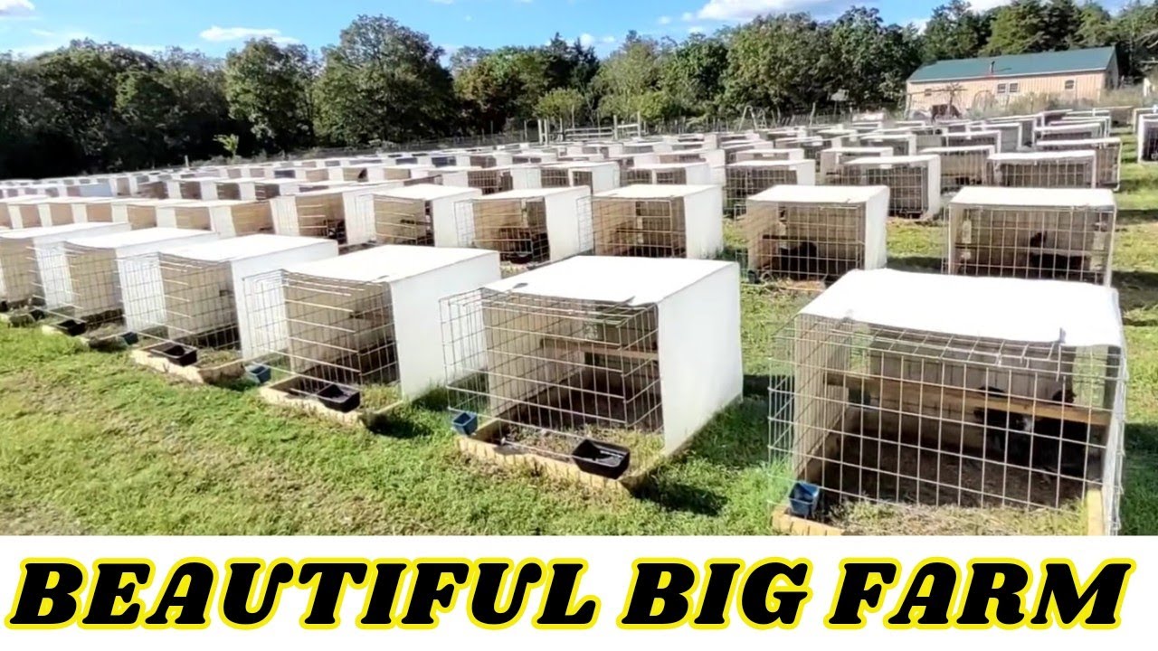 Beautiful View Big Farm - Crawford County Farm Visit John Uy Bico - YouTube