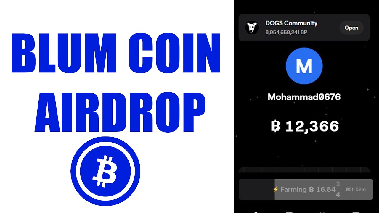 Blum Coin Airdrop. Next DOGS Token Airdrop Claim 2024 How To Claim Blum ...