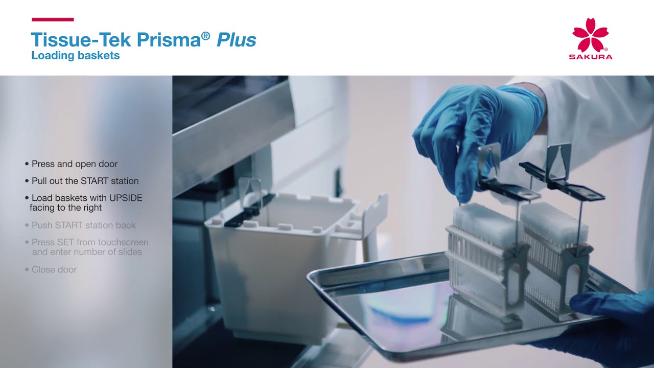 Tissue Tek Prisma Plus Loading baskets - YouTube