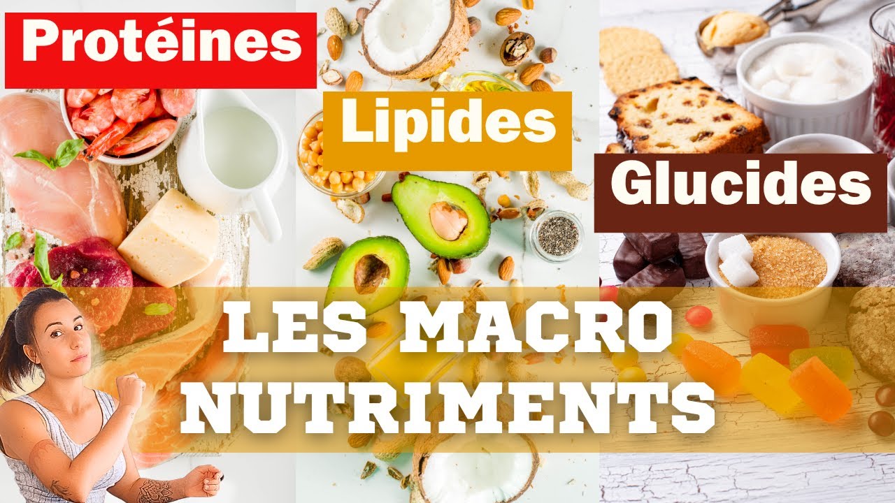 Les SECRETS des MACRO NUTRIMENTS - tu dois ABSOLUMENT savoir - La ...