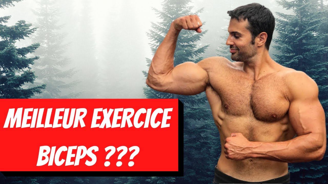 10 Meilleurs Exercices Biceps Pour Construire Le Muscle Images And