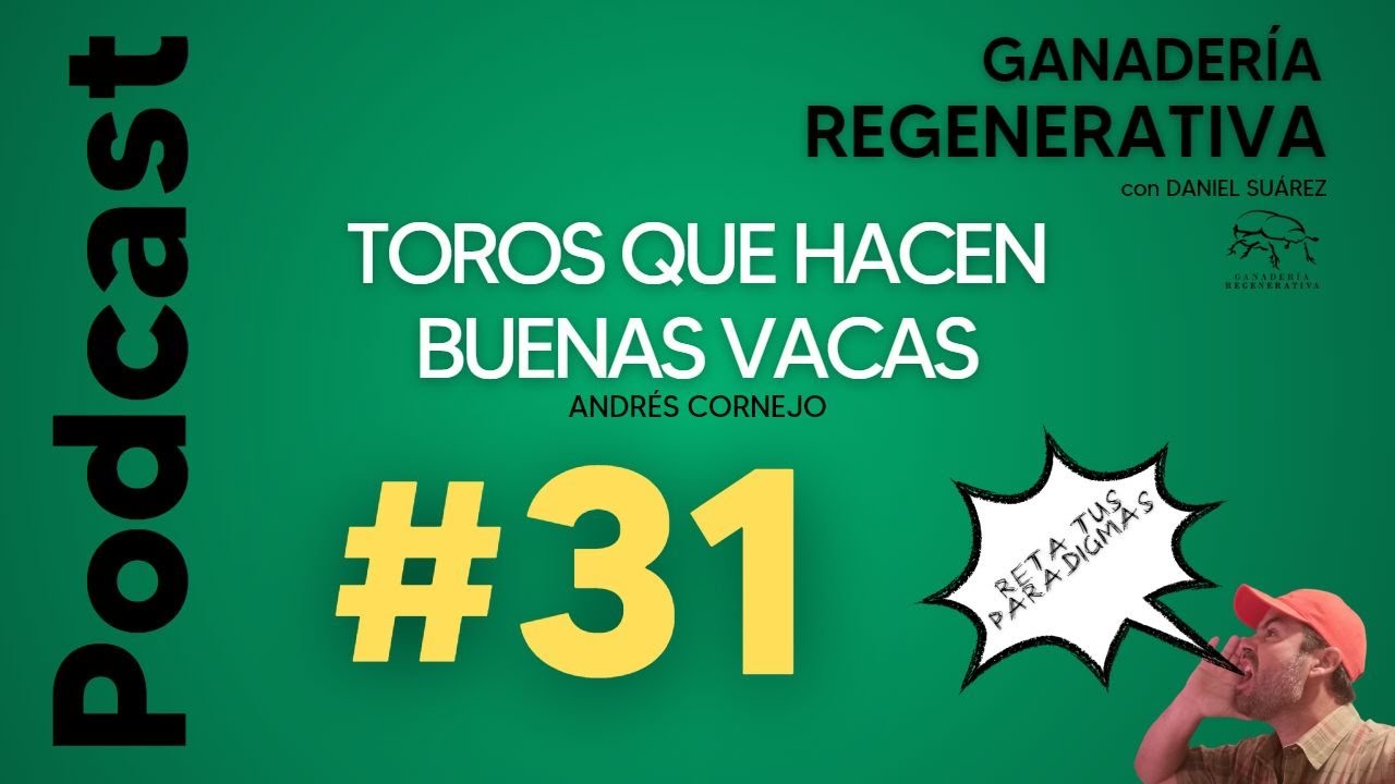 Ep 31 - Toros que hacen buenas vacas - Andrés Cornejo - YouTube