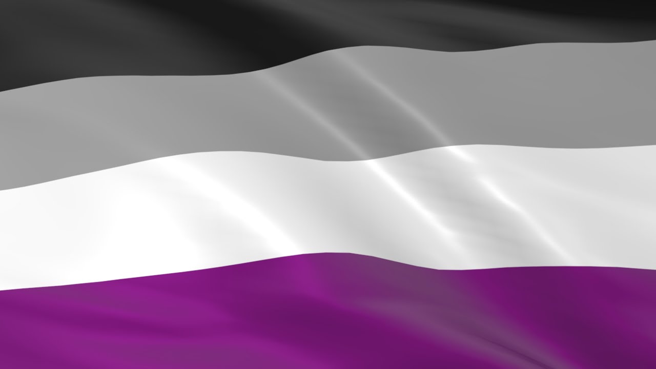 Asexual Pride Flag waving in the wind - Flag animation - 4K UHD - YouTube