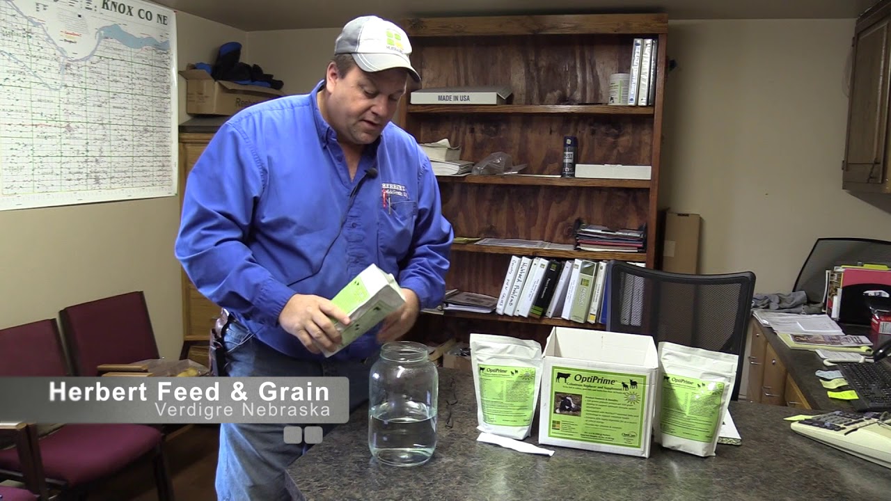 OptiPrime - Colostrum Replacer and Supplement - YouTube