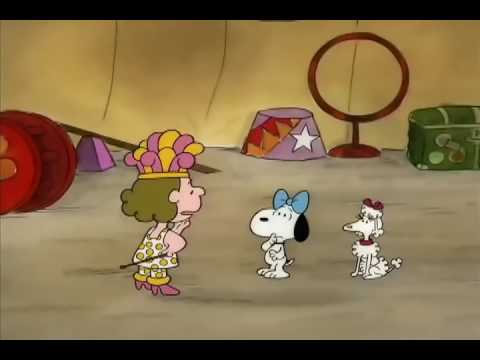 Snoopy the Circus Poodle 2/2 - YouTube