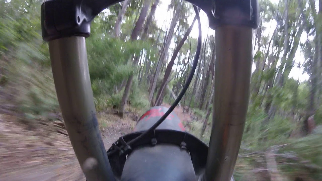 Test RockShox Boxxer Race 2009 en los troncos - YouTube