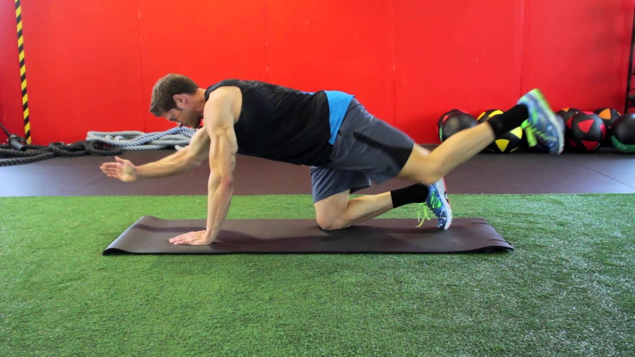 Quadruped (Bird Dog) - YouTube