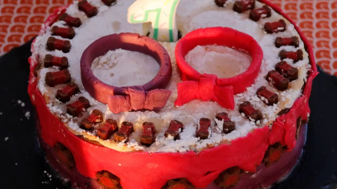 Croquet'Cake with RéGion Pet Nutrition - YouTube