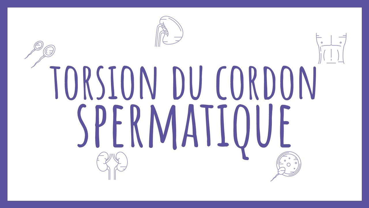 Sémiologie Urologique - Torsion du Cordon Spermatique - YouTube