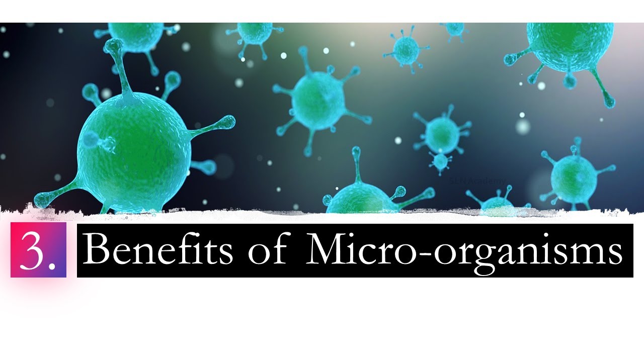 What are the Advantages of Microorganisms? : "Microorganisms - Part 3 ...