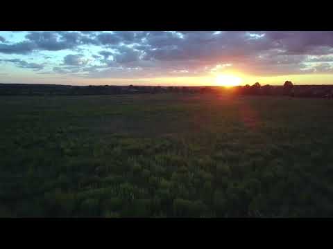 Sunset Splendor: Aerial Serenity Over Green Fields at Dusk 🌅🌿🚁 | Nature's Evening Ballet