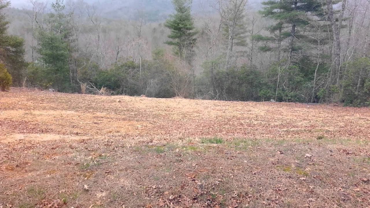 Snow-Late March in Blue Ridge - YouTube