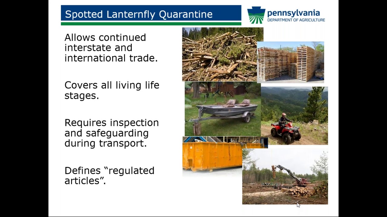PPA Webinar Series #20: Spotted Lanternfly Permit Review - YouTube