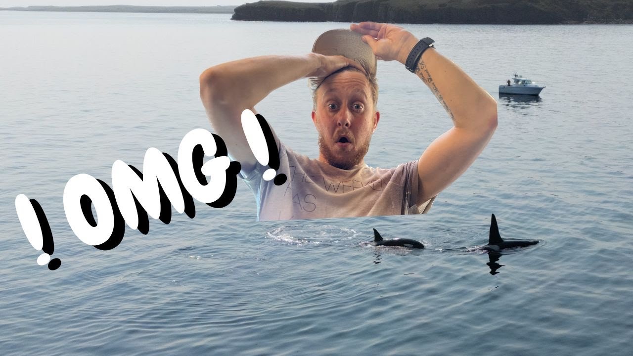 ORCA/KILLER WHALES OFF THE COAST OF SCOTLAND!!! UK | EPS27| - YouTube