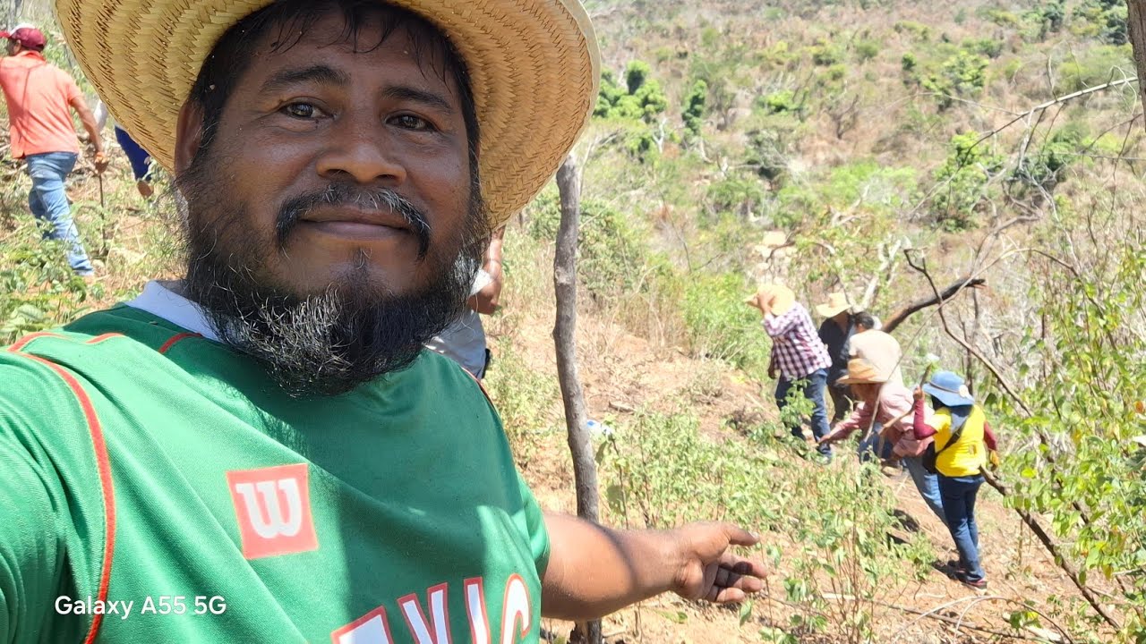 Para esto fue conbocado mi grupo de sembrando vida 🤠 - YouTube