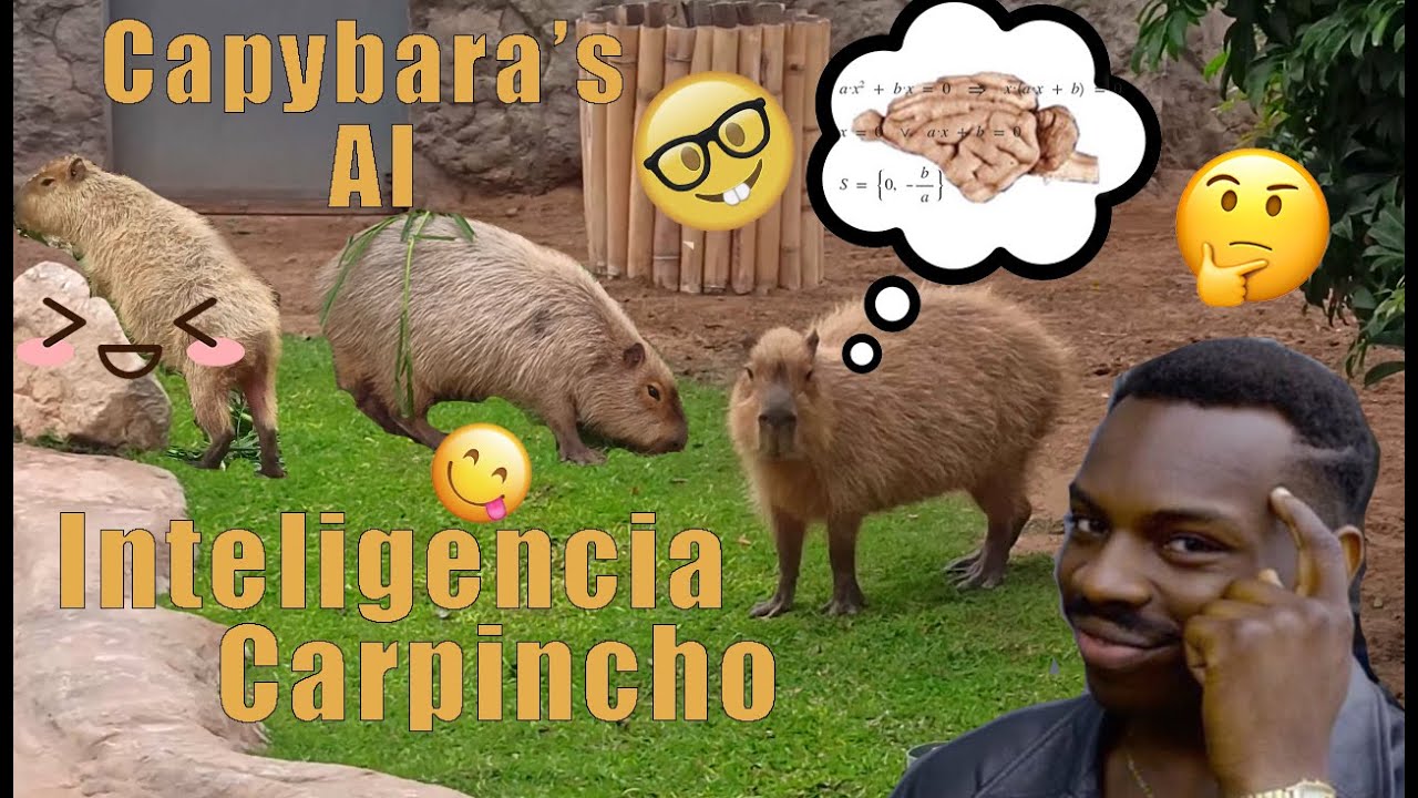 Hablando con una capibara ronsoca del zoo - Speaking with a capybara ...
