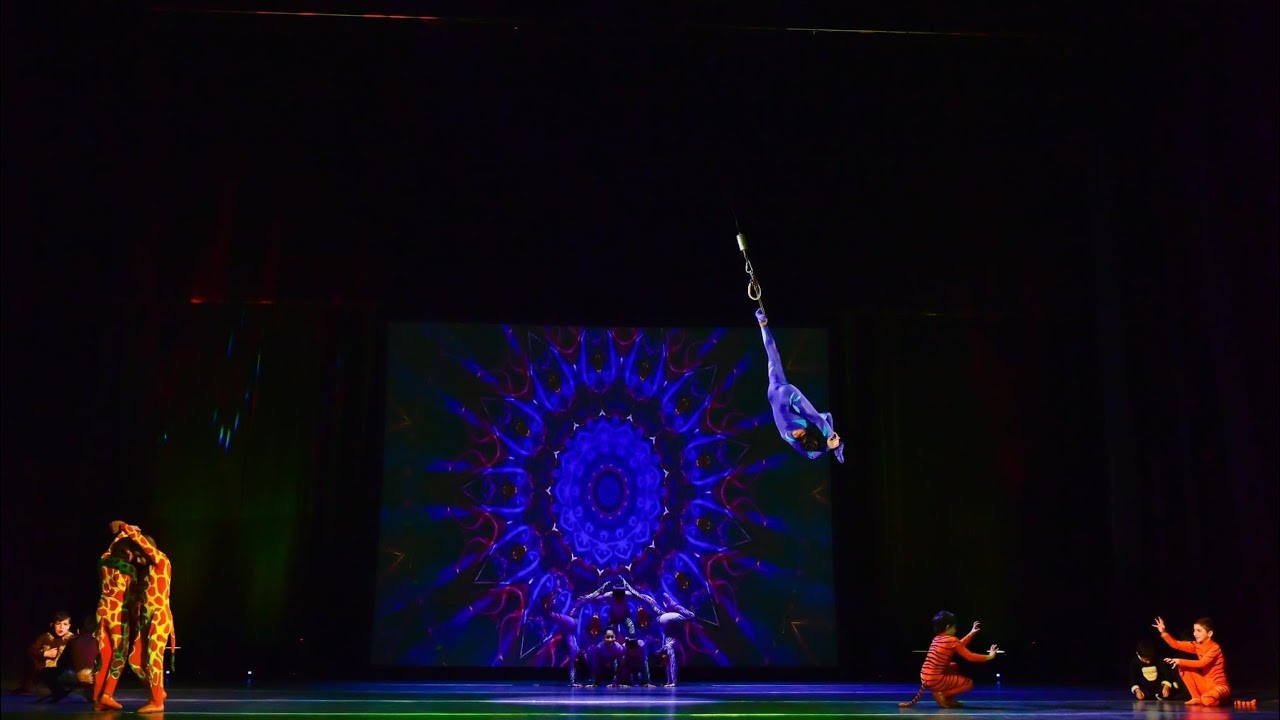 Circus act aerial loop “Savannah” / Цирковой номер воздушная петля ...