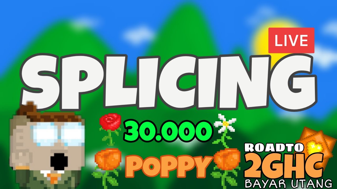[LIVE] RTO | Splicing 30K Tree | Growtopia Indonesia - YouTube