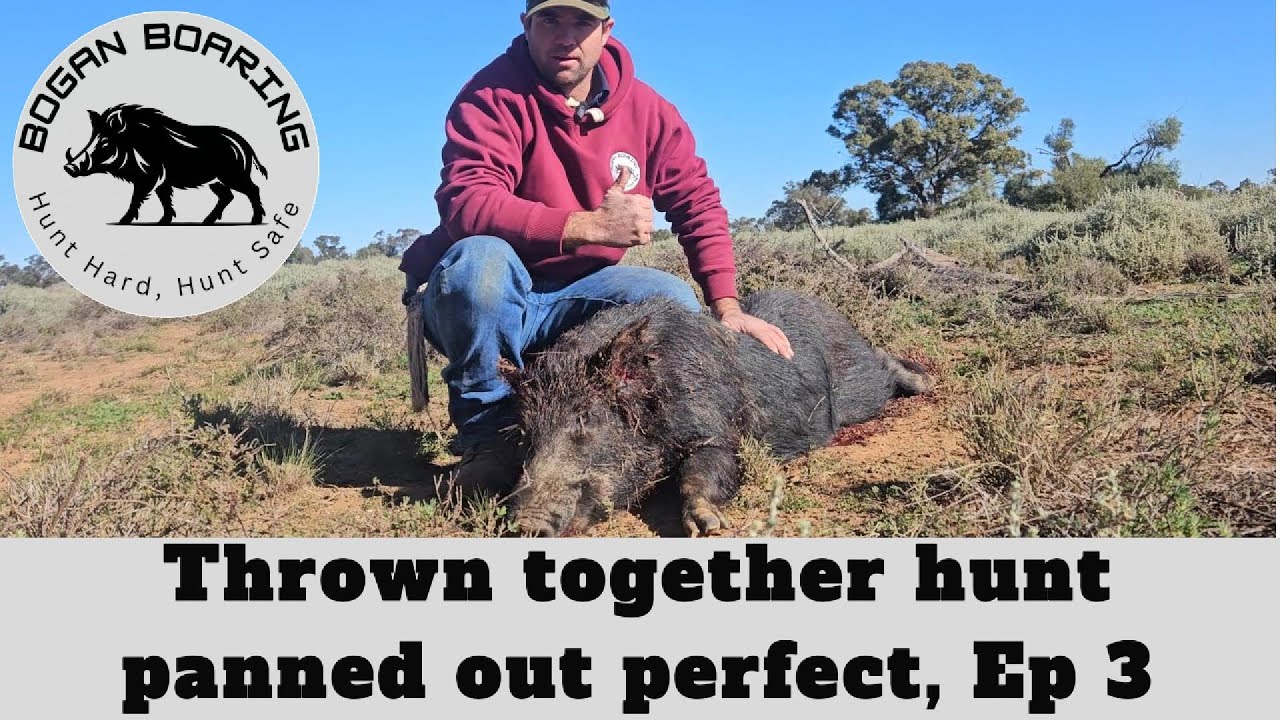 Thrown together hunt panned out perfect, finale - YouTube