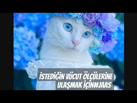 SAĞLIKLI FİT GÜZEL DENGELİ BİR BEDEN İÇİN 🦋 #JAAS🌟 #zayıflama #kas #kiloalma #güzellik🎯
