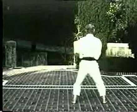 Rohai Kata Wadoryu - YouTube