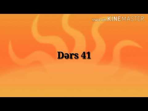 HIND DILI DƏRS 41