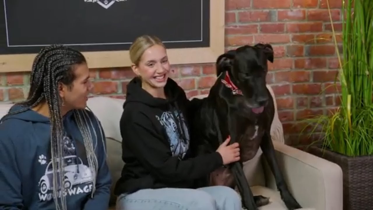 Adriana at Big Woof Apparel Shares Her Mastermind Studios Experience - YouTube