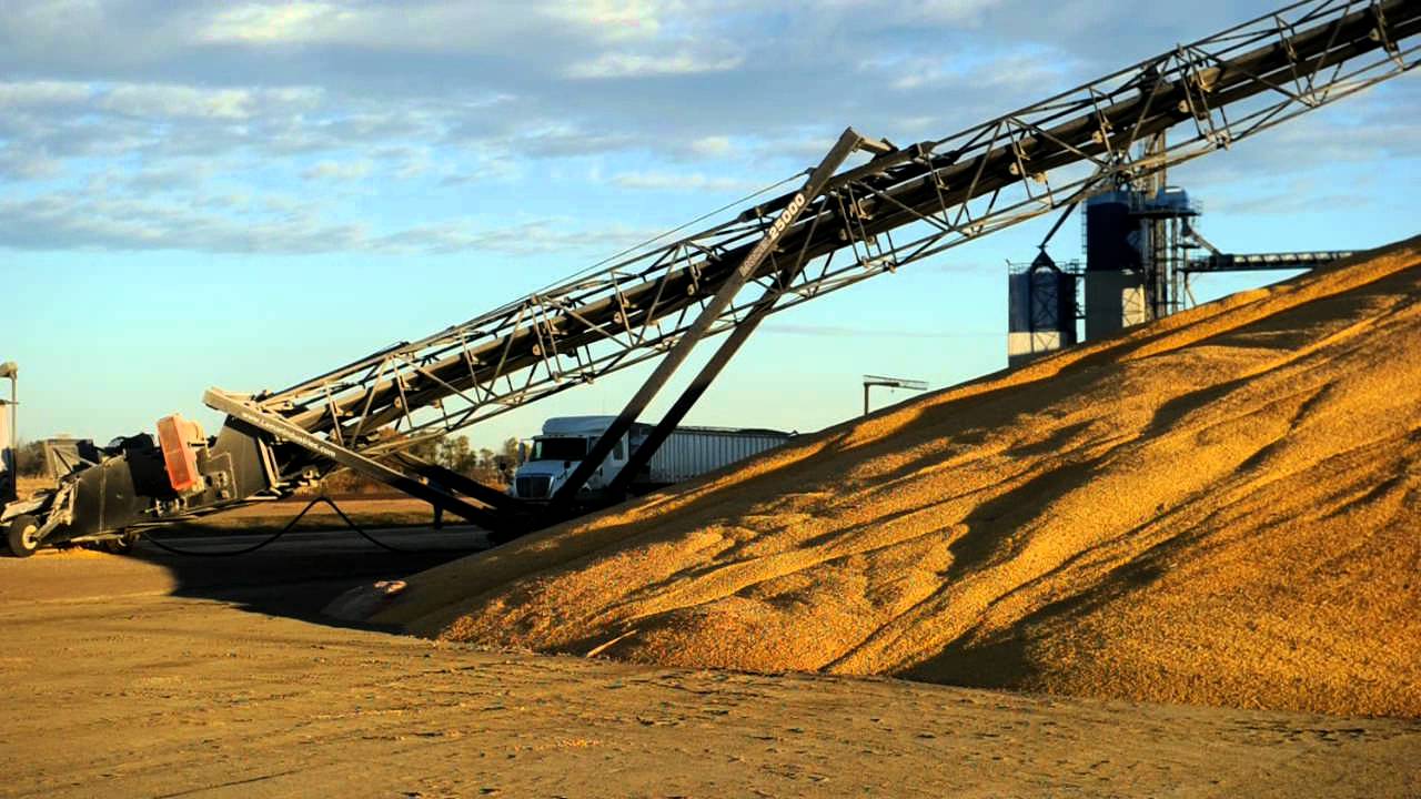 LeMar high capacity 25,000 bph transport conveyor in action - YouTube