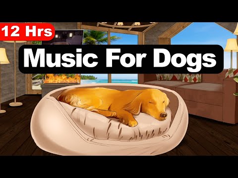 Relaxing Piano Music For Dogs (12 Hours)
