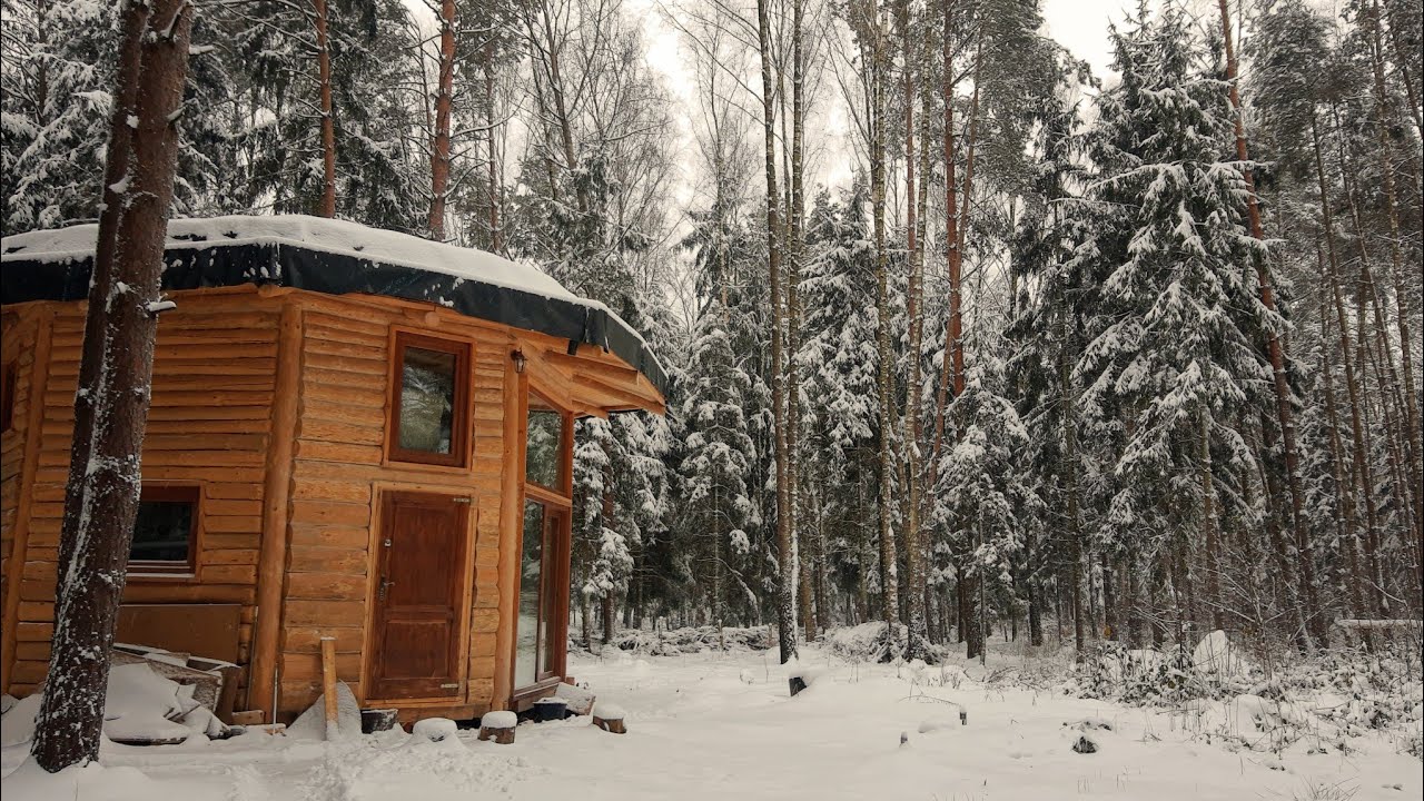 Forest Dwelling Project (Month 24): moved in but far from finished ...