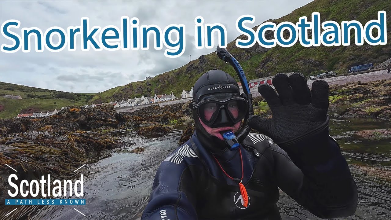 Snorkeling in Scotland - Pennan - Moray Firth - YouTube