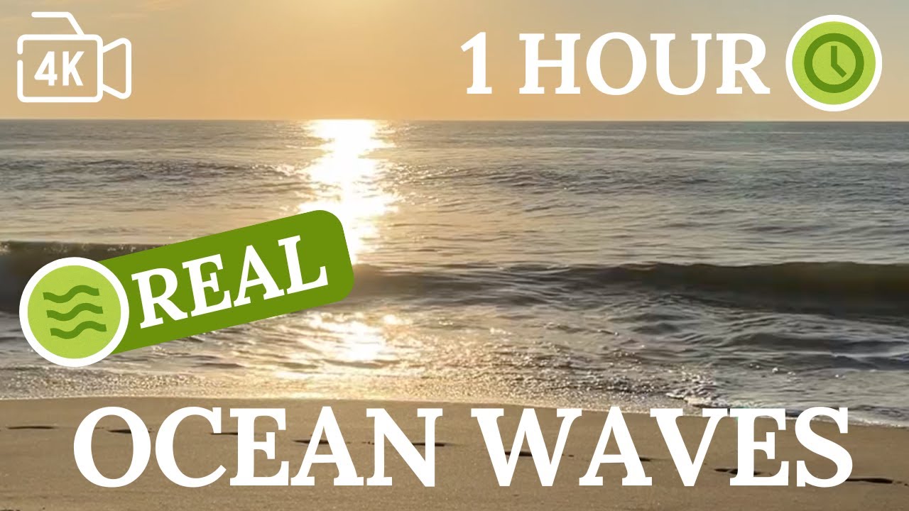 1 Hour (60 mins) of Real Ocean Waves & Sounds | Relaxing Rhythm for ...