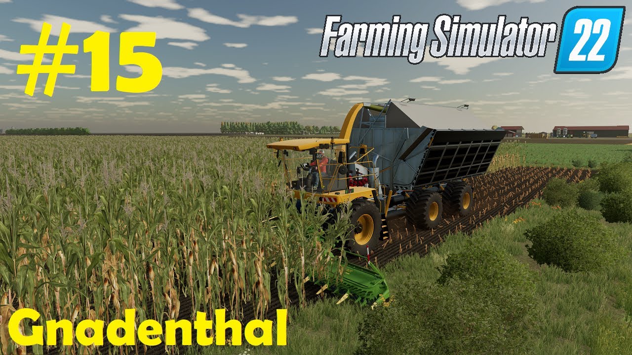 LS22 Gnadenthal #15 Ballen abfahren und den Mais anstechen / Farming ...