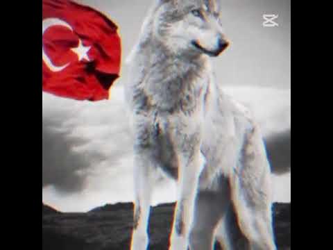 #bozkurtlar - YouTube