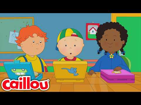 Caillou volta à escola | Caillou Português - WildBrain | Desenhos para crianças