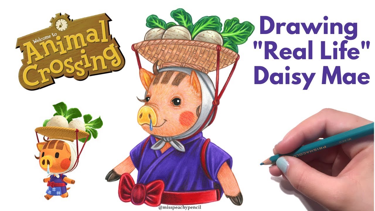"REAL LIFE DAISY MAE! 🐷💧🥬🎋- Animal Crossing Daisy Mae Fanart!💖" - YouTube