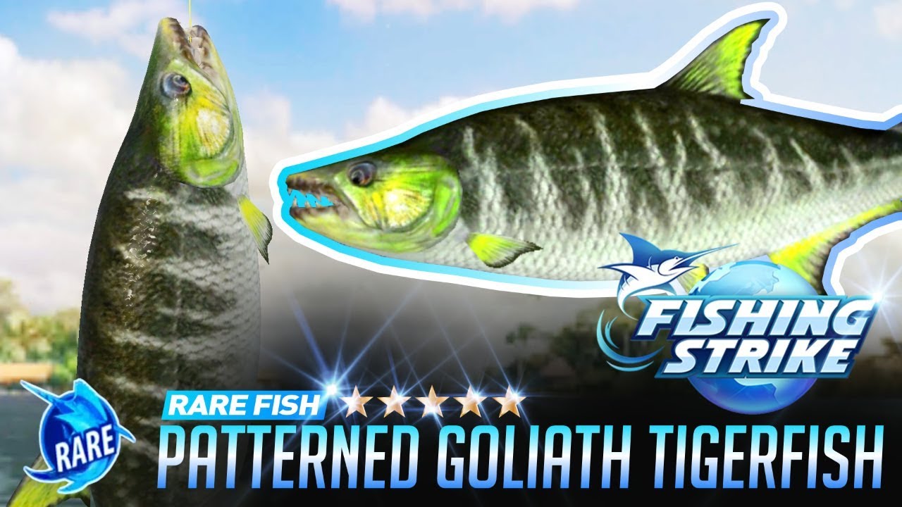 《釣魚大亨 Fishing Strike》 Amazon Rare fish Patterned Goliath Tigerfish ...