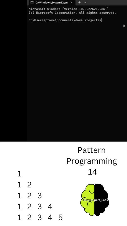 Day 14 || Pattern Programming 14 || Java || Zoho Pattern Programming || 2-D Array || Star ...