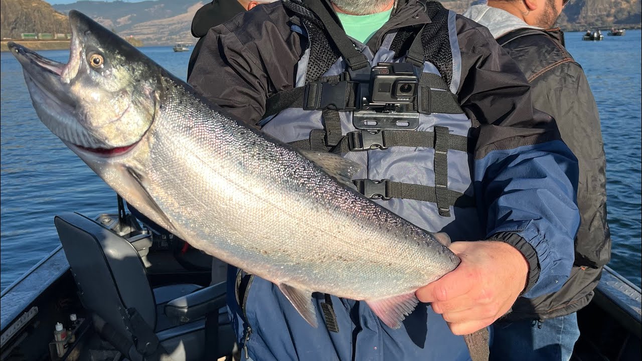 Trolling Columbia River Salmon - YouTube