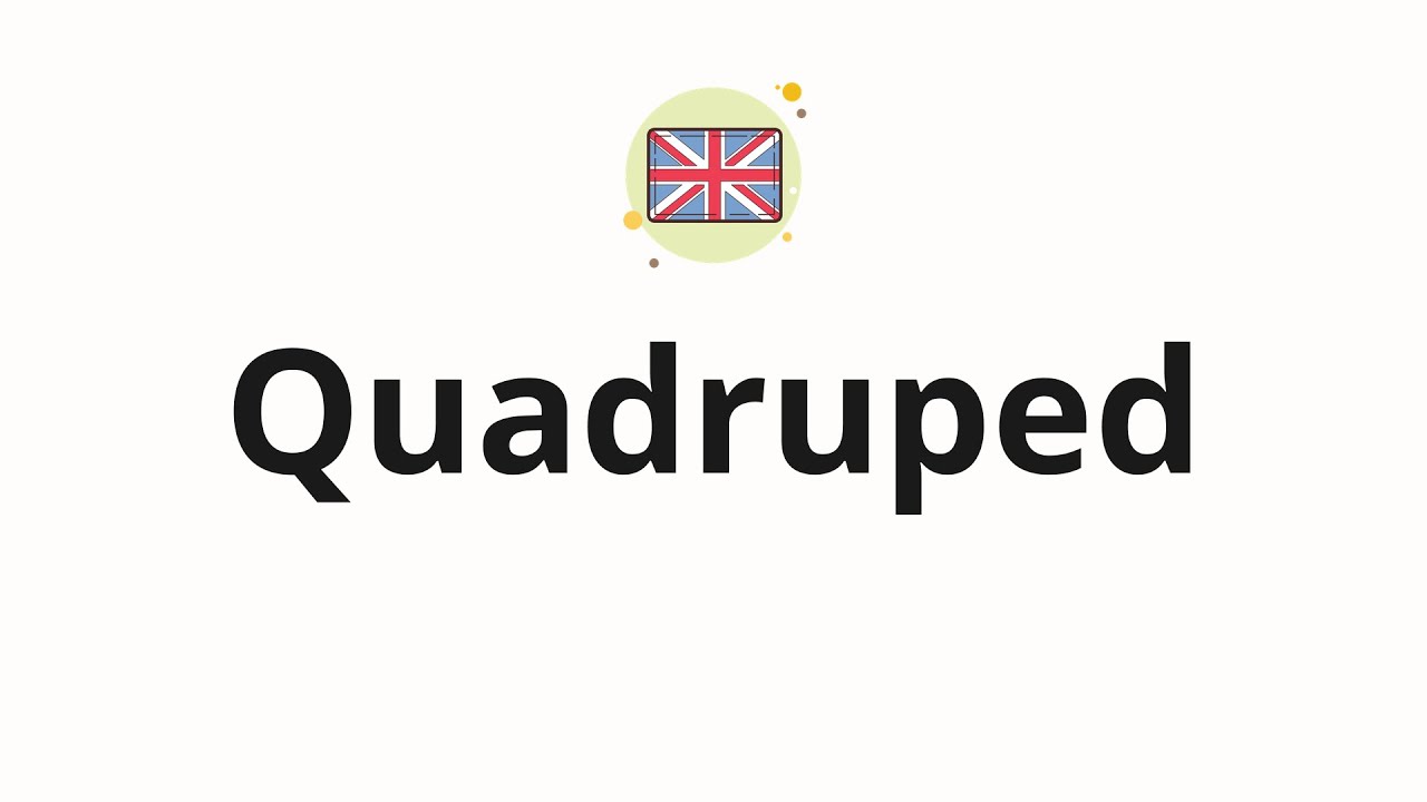 Quadruped Definition