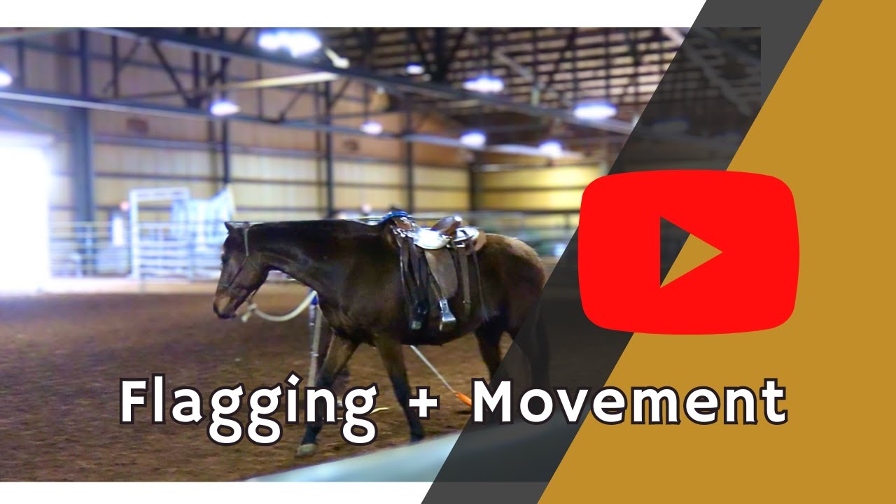 Flagging During Movement - YouTube