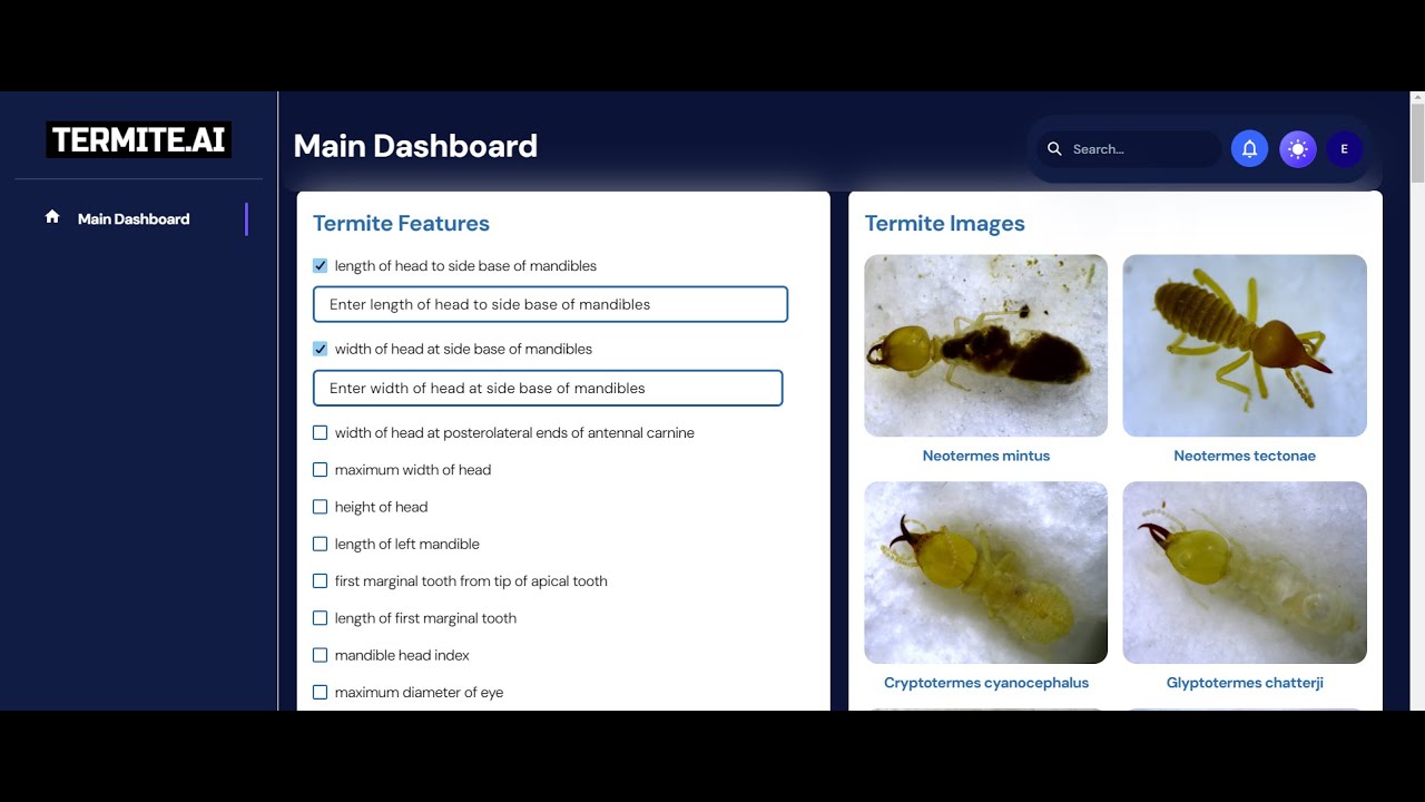 Termite AI - YouTube