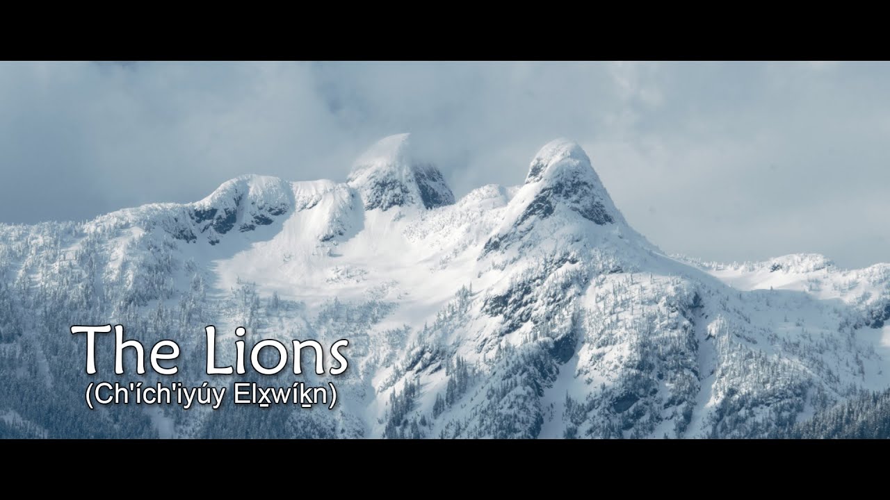 The Lions - Cinematic Nature Video Captured With The Pentax K3 Mark Iii ...