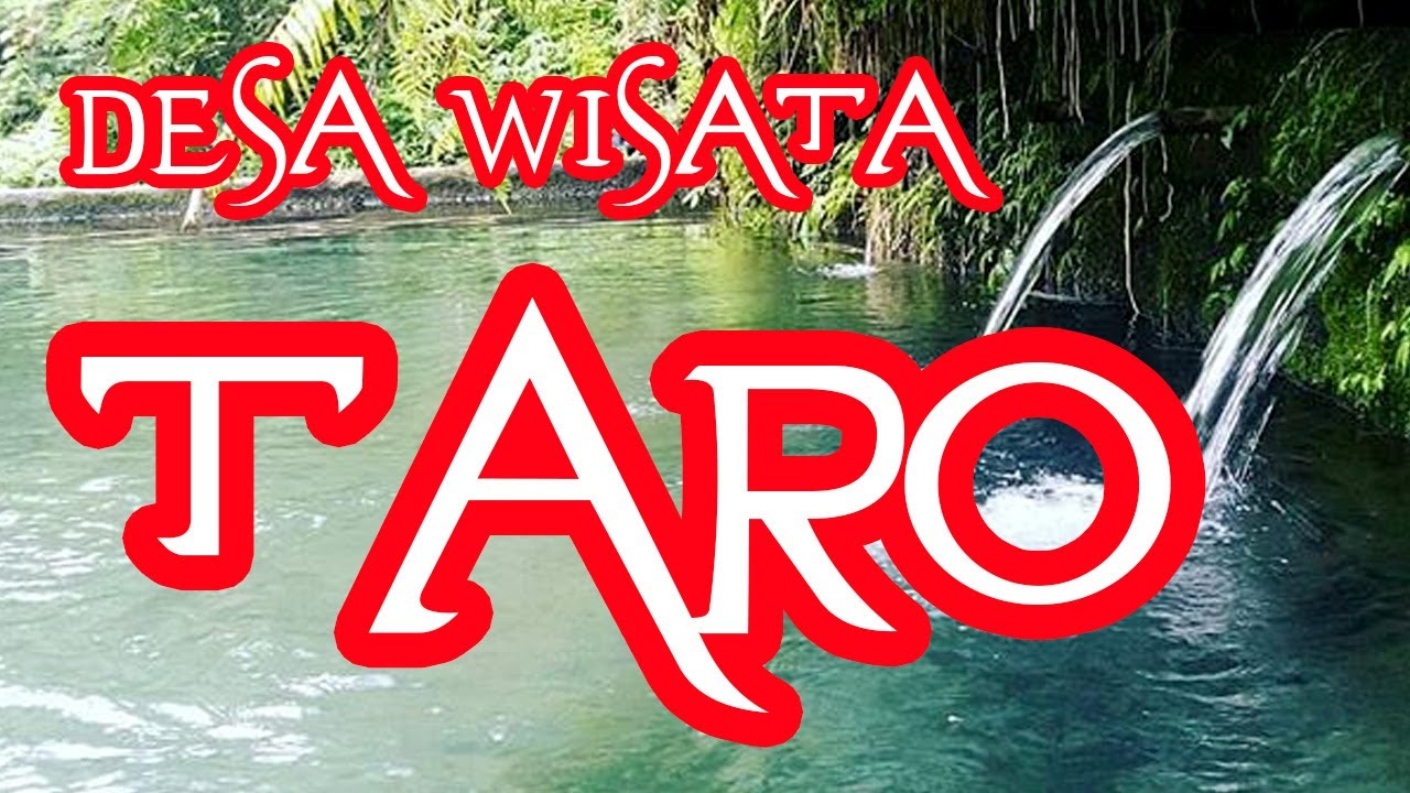 DESA WISATA - DESA WISATA TARO - YouTube